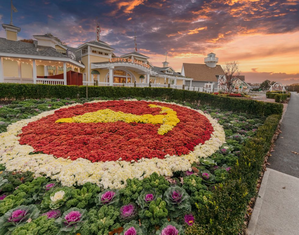 Cuffy's of Cape Cod | The Fabric of The Cape